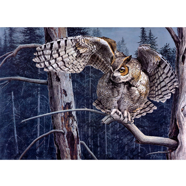 Ingooood Jigsaw Puzzle 1000 Pieces- Resting Owl- Entertainment Toys fo